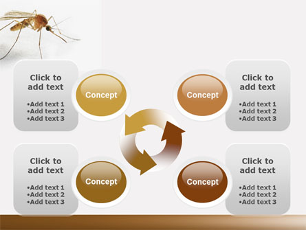 Mosquito Presentation Template for PowerPoint and Keynote | PPT Star