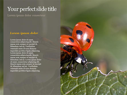 Insects Communication Presentation Template for PowerPoint and Keynote ...