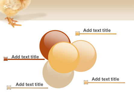 Chicken Presentation Template for PowerPoint and Keynote | PPT Star