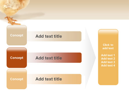 Chicken Presentation Template for PowerPoint and Keynote | PPT Star