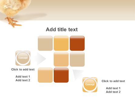 Chicken Presentation Template for PowerPoint and Keynote | PPT Star