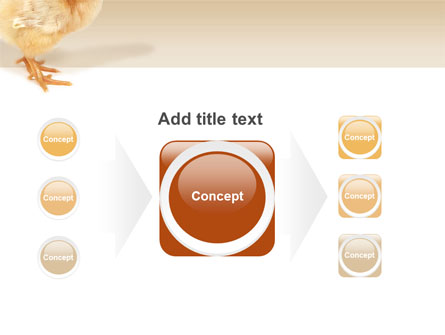 Chicken Presentation Template for PowerPoint and Keynote | PPT Star