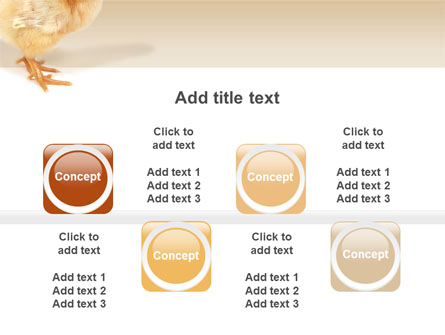 Chicken Presentation Template for PowerPoint and Keynote | PPT Star