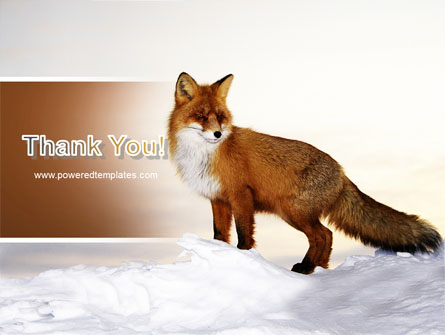 Red Fox Presentation Template for PowerPoint and Keynote | PPT Star