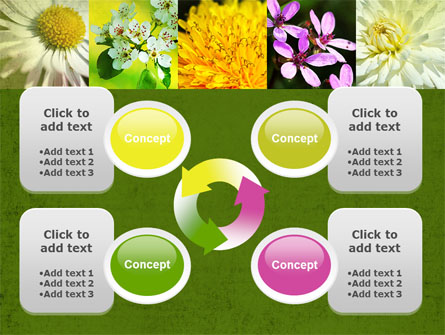 Floristic Presentation Template for PowerPoint and Keynote | PPT Star