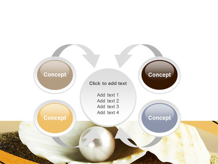 Pearl Shell Presentation Template for PowerPoint and Keynote | PPT Star