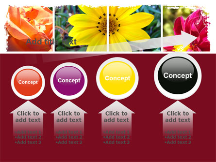 Garden Flowers Presentation Template for PowerPoint and Keynote | PPT Star