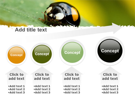 Bug On Green Leaf Presentation Template for PowerPoint and Keynote ...