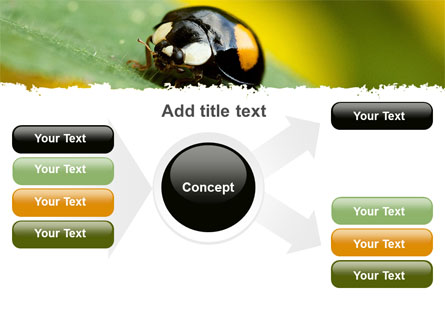 Bug On Green Leaf Presentation Template for PowerPoint and Keynote ...