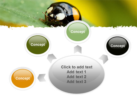 Bug On Green Leaf Presentation Template for PowerPoint and Keynote ...