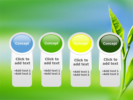 Fresh Sprouts Presentation Template for PowerPoint and Keynote | PPT Star