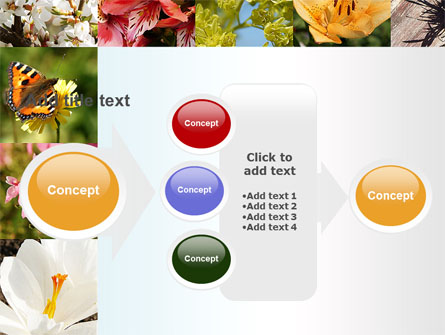 Variety of Flowers Presentation Template for PowerPoint and Keynote ...